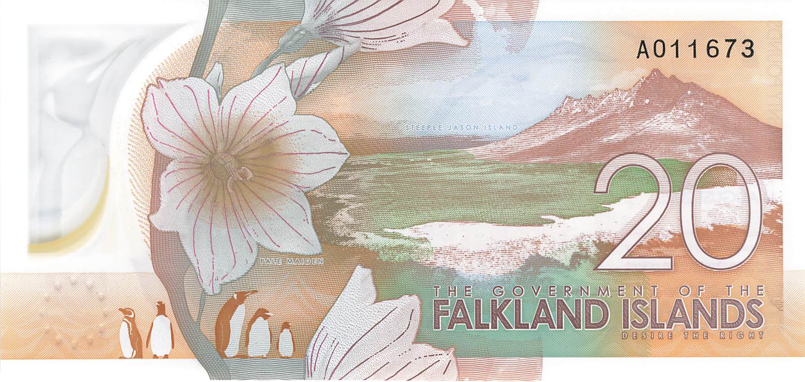 Papermoneyshop - Falkland P.22 - 20 Pfund 2025 UNC